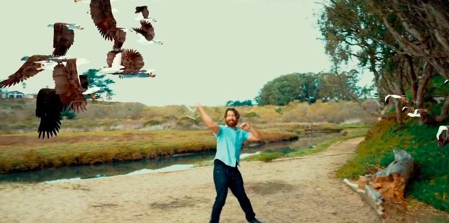 'Birdemic 3': The Sea Eagles Are Coming For You