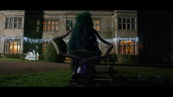 'The Killing Tree': Christmas Trees Go Bad In New Horror Movie