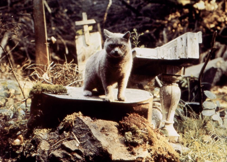 Why 'Pet Sematary' is Quintessential Stephen King
