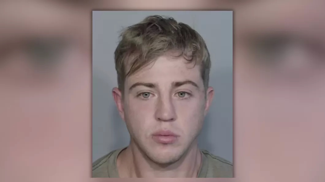 Man Exposes Himsef Outside Bar ... Then High-Kicks a Cop