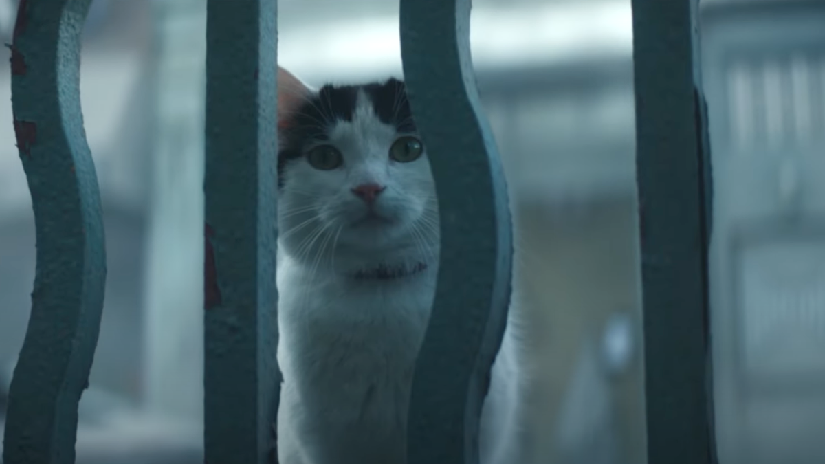 'A Quiet Place: Day One': An Odo to Frodo, Horror's Best Cat