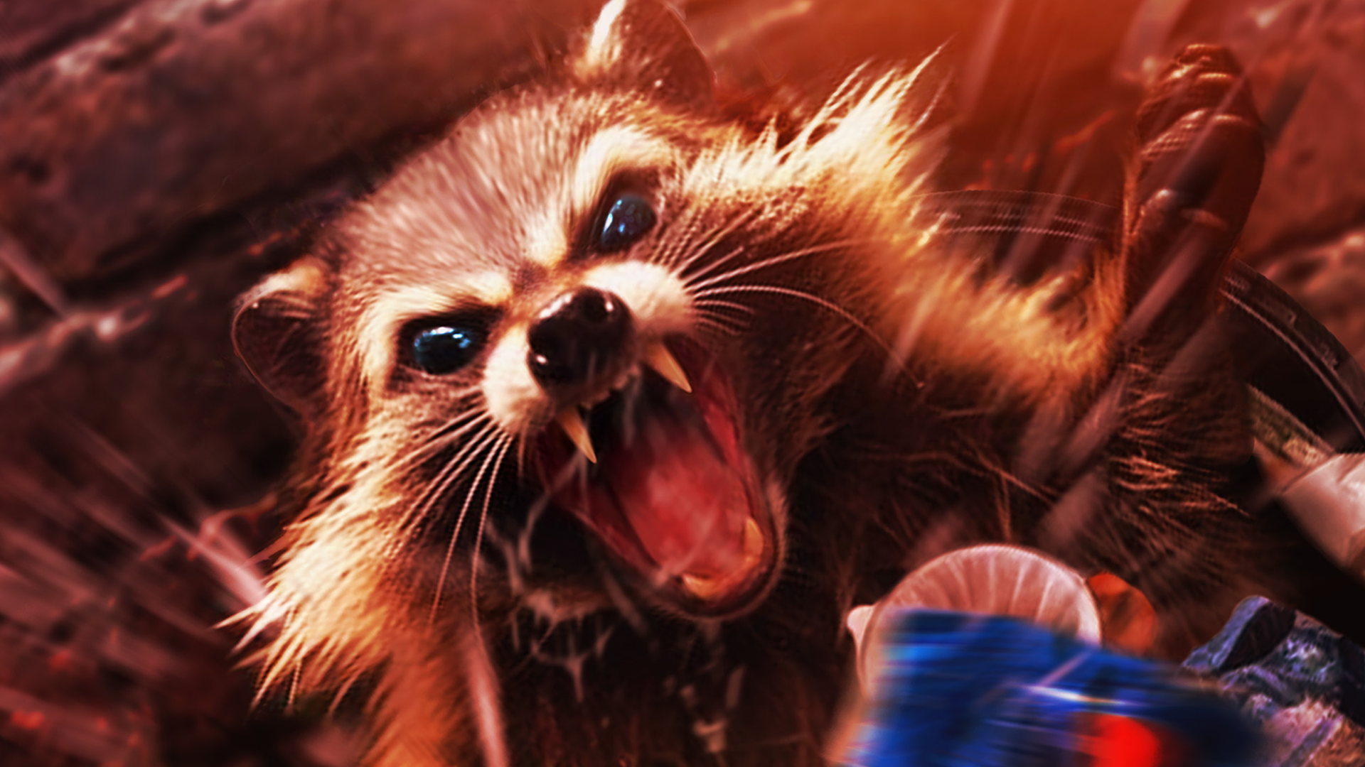 'Crackcoon' Exclusive Clip: Here, Kitty Kitty