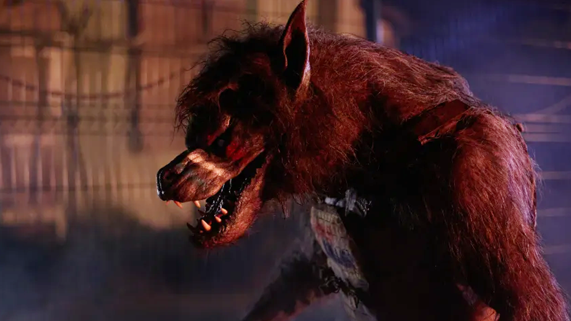 The 8 Best Werewolf Transformations In Horror History