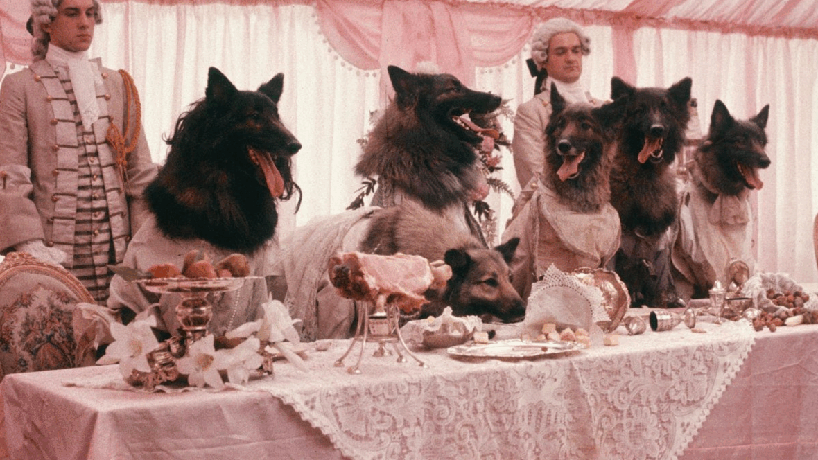 Gender, Socialization, and the Werewolf