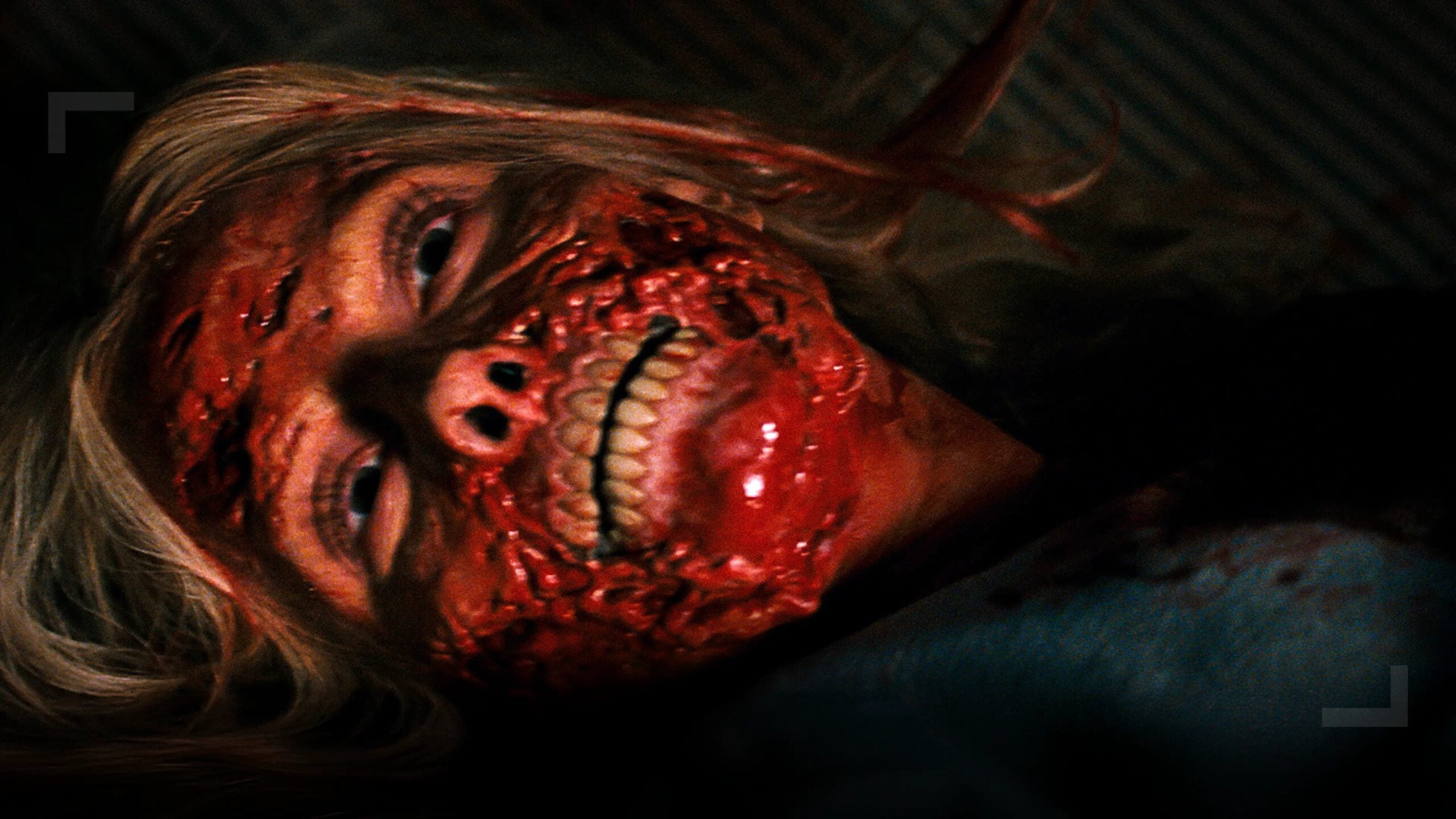 Las Vegas! Eli Roth & 'Cabin Fever' Cast Reunite for Screening