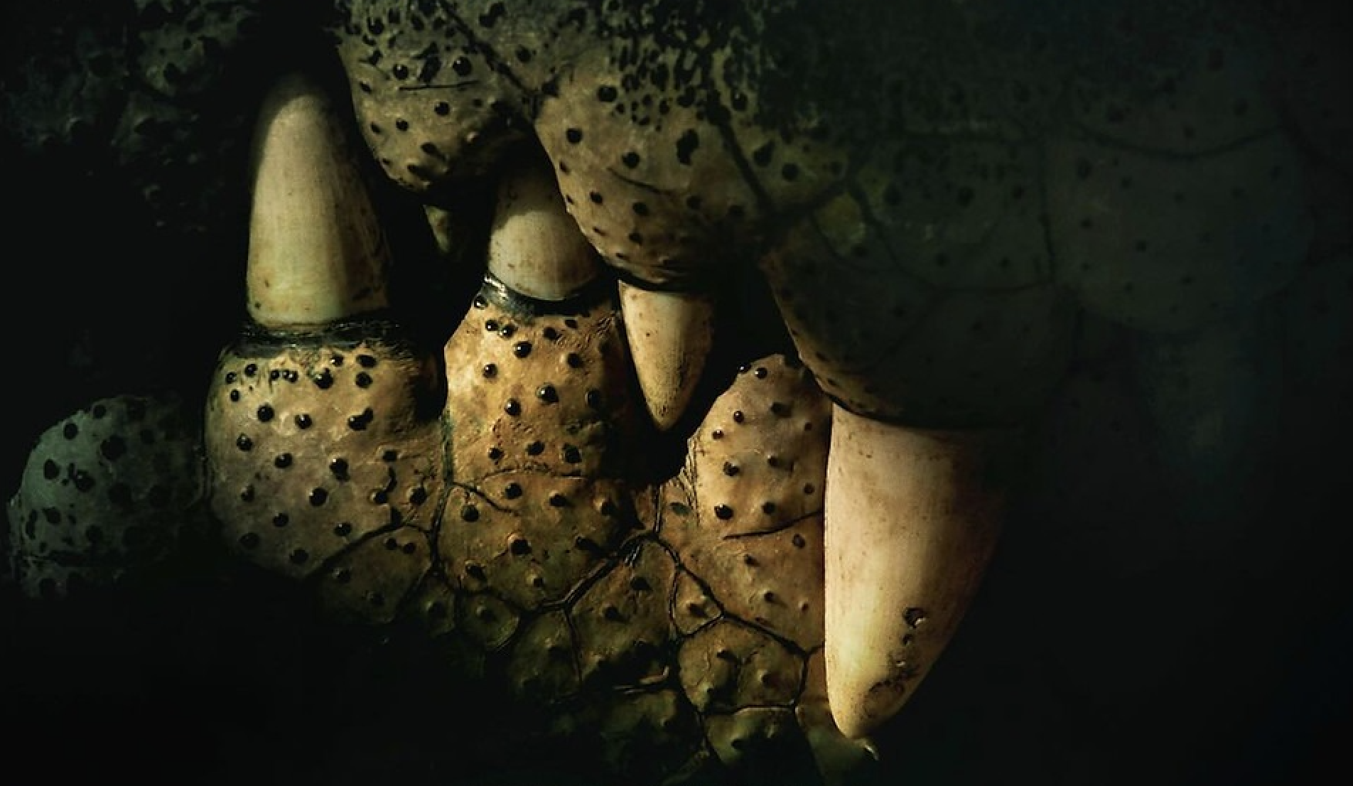 'The Reef' Director Bites Into Crocodile Survival Thriller 'ULU'